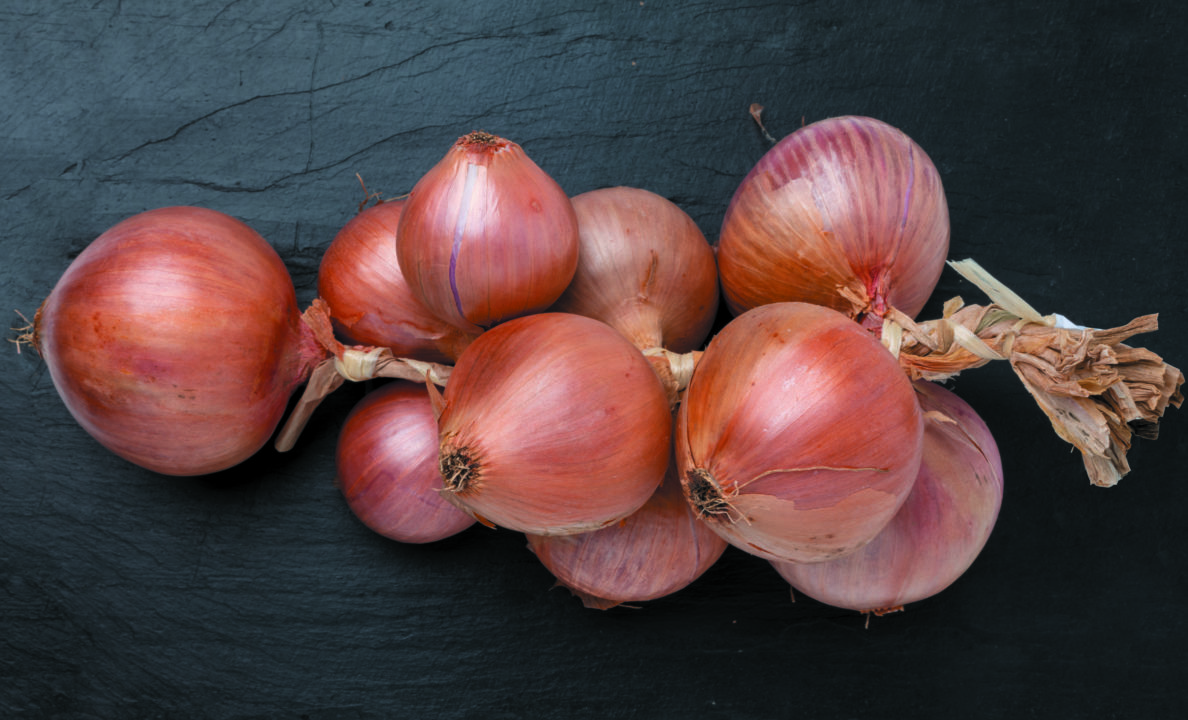 L'oignon de Roscoff, quelle particularité ? Leclerc Saint Pol de Léon